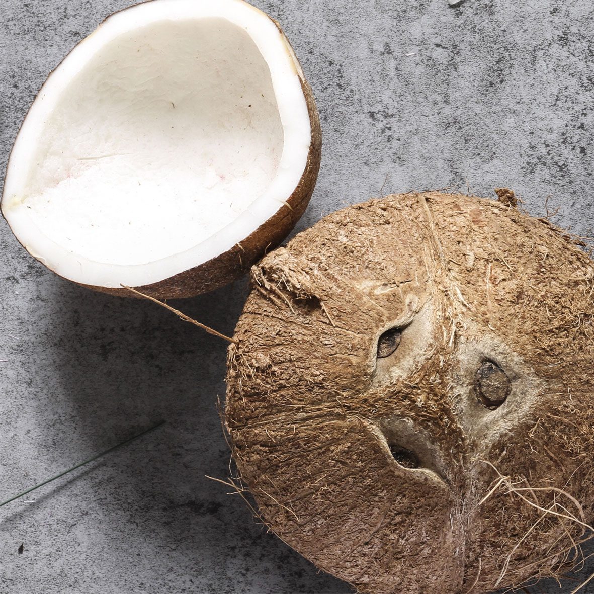 Coconunt oil » Sinergy Cosmetics | Hair Professionals